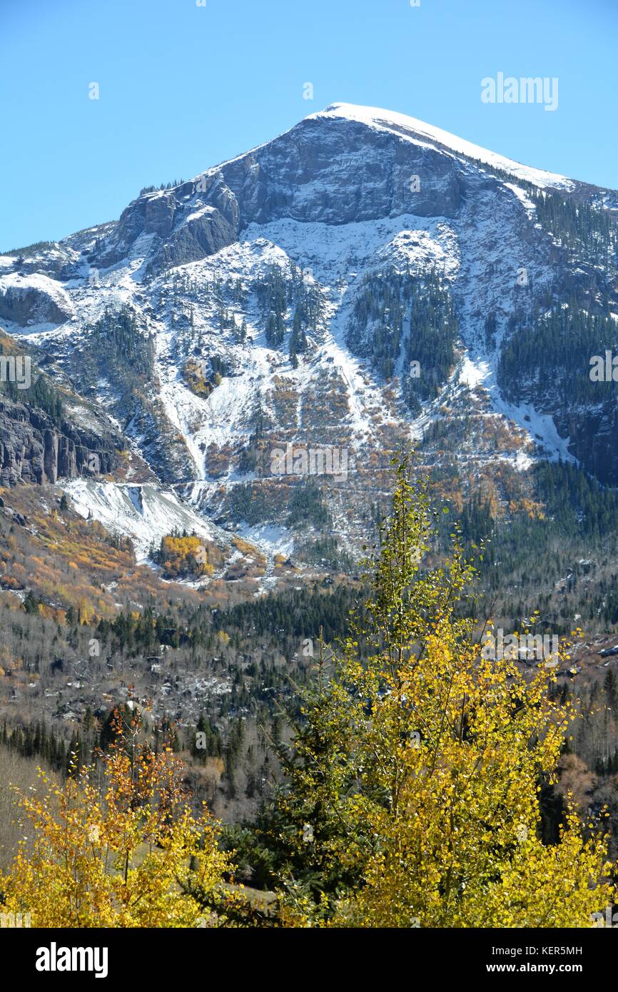 Colorado in the Fall with Golden Aspen Trees Stock Photo - Alamy