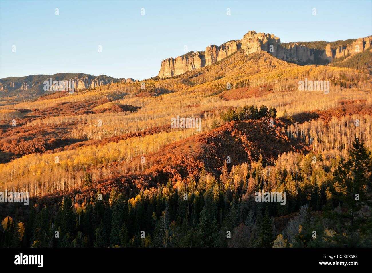 Colorado in the Fall with Golden Aspen Trees Stock Photo - Alamy