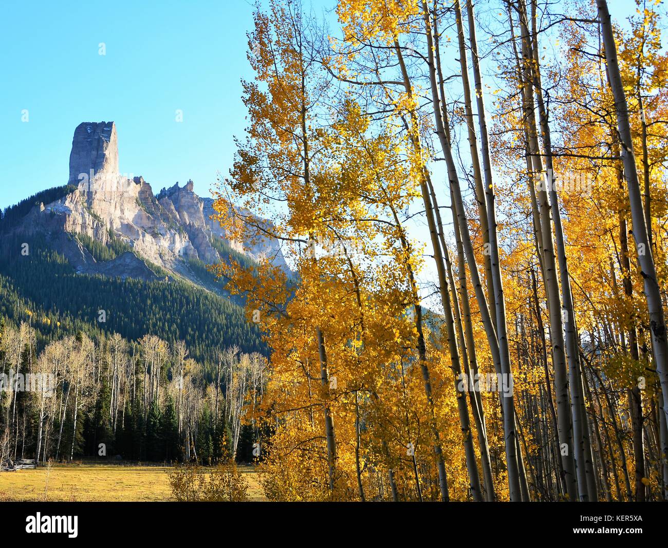 Colorado in the Fall with Golden Aspen Trees Stock Photo - Alamy