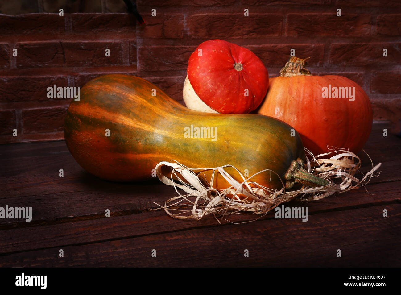 Autumn pumpkin background of thanksgiving - assorted pumpkins on a ...
