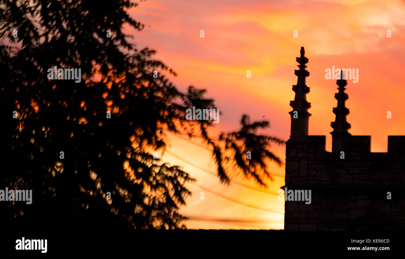 Back yard colour hi-res stock photography and images - Alamy