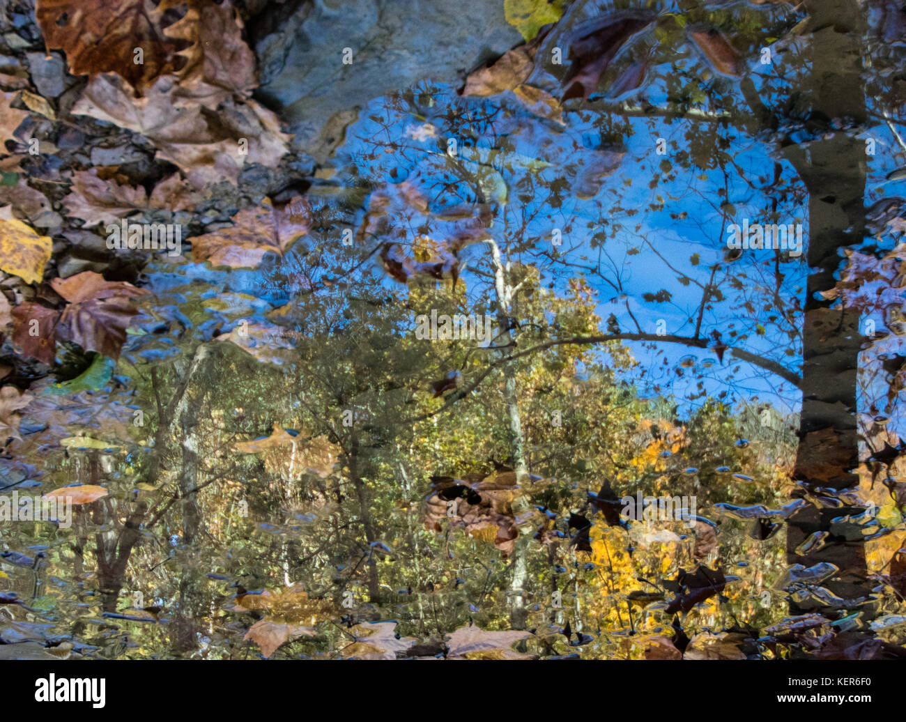 Puddle reflection wood hi-res stock photography and images - Alamy