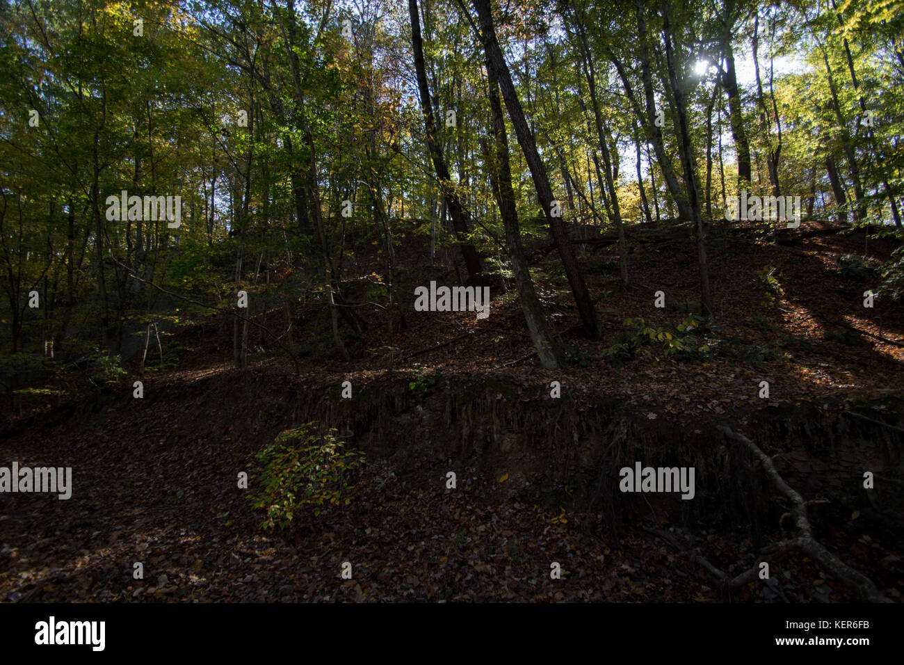 Off-path in Autumn Stock Photo - Alamy