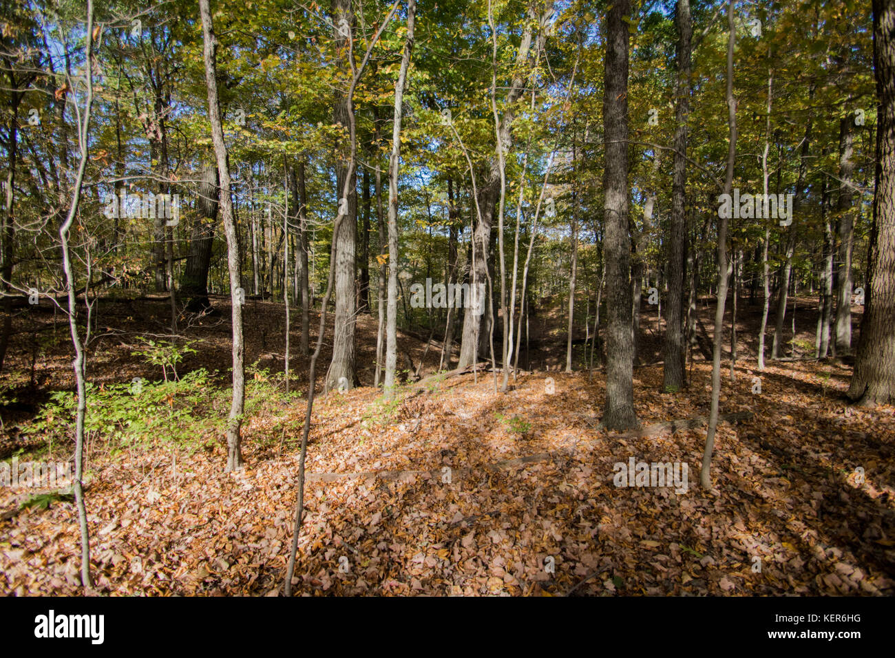 Off-path in Autumn Stock Photo - Alamy