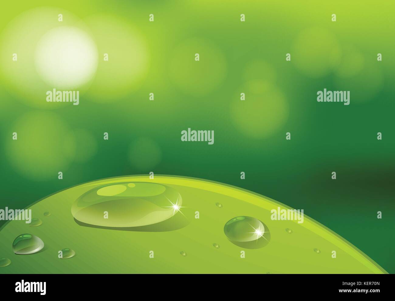 Illustration of a leaf with waterdrops Stock Vector Image & Art - Alamy