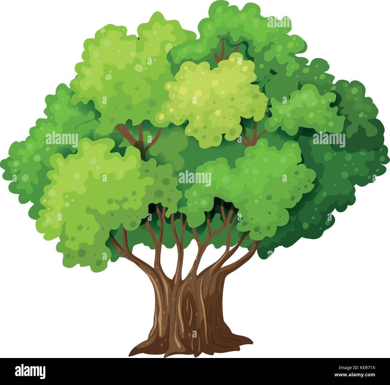 Cartoon big old tree hi-res stock photography and images - Alamy