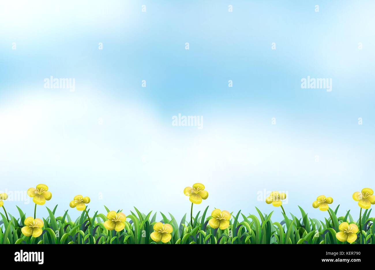 Yellow flower field view Stock Vector Images - Alamy