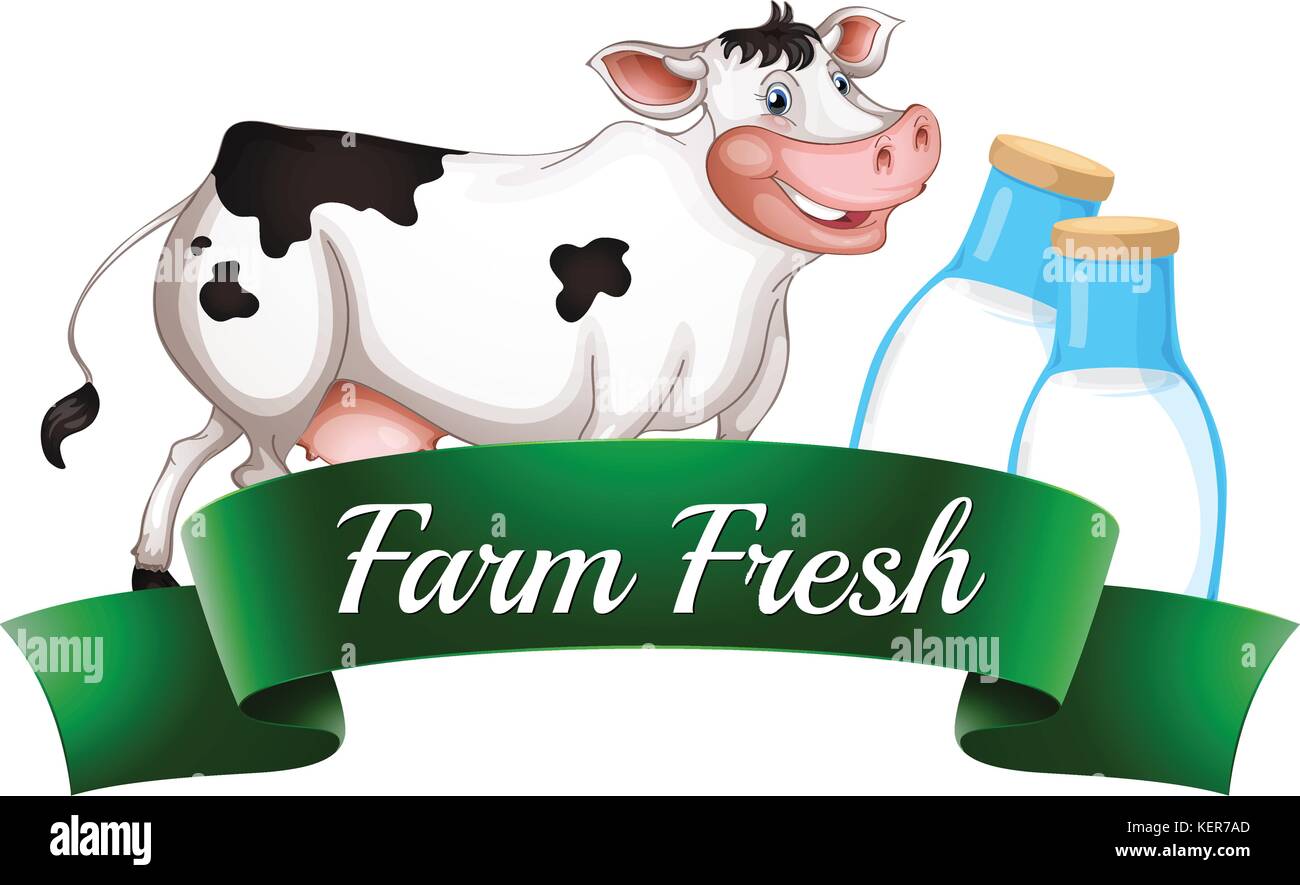 Illustration of a cow with a farm fresh label on a white background ...