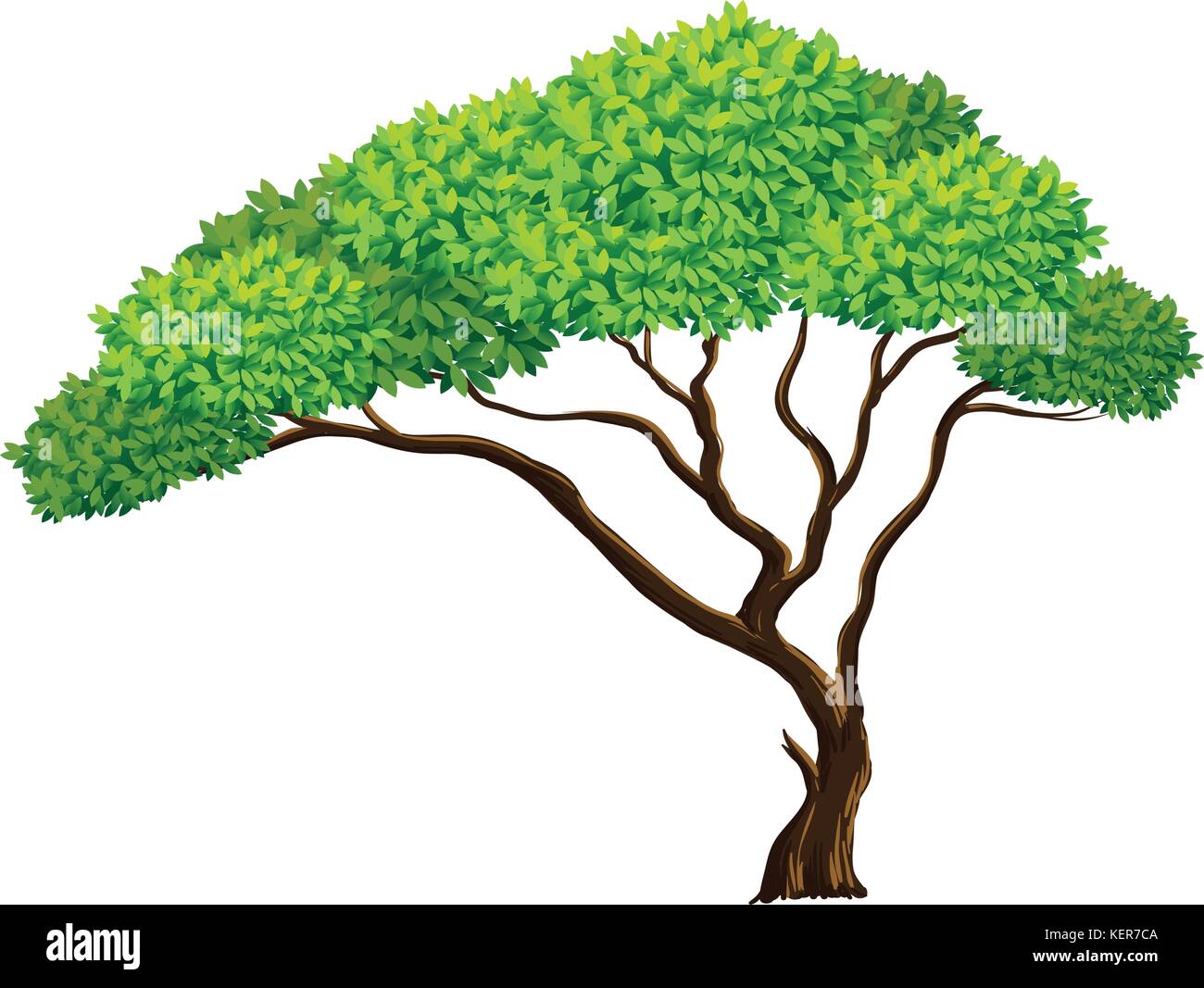 Close up branches Stock Vector Images - Alamy