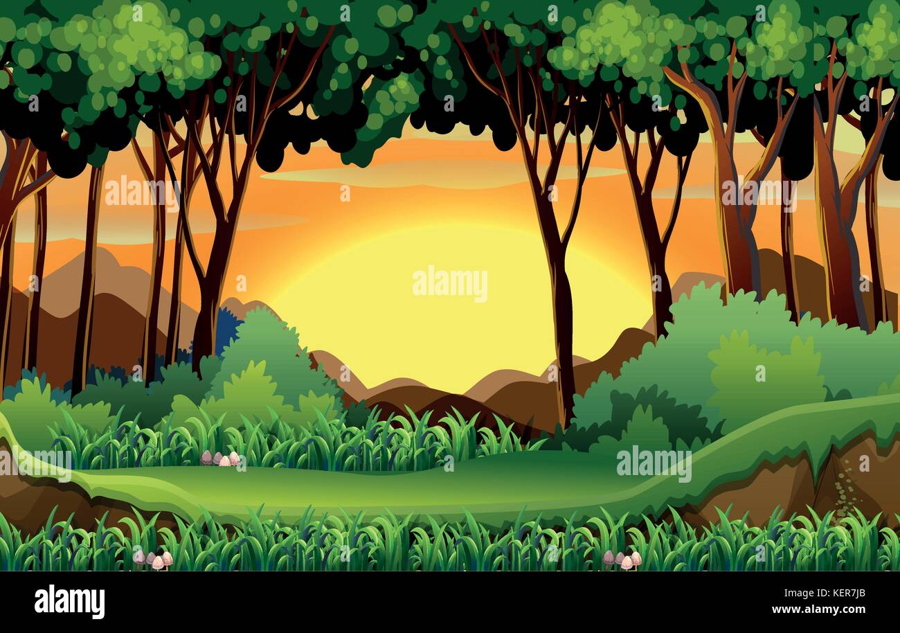 Animated Forest Scene