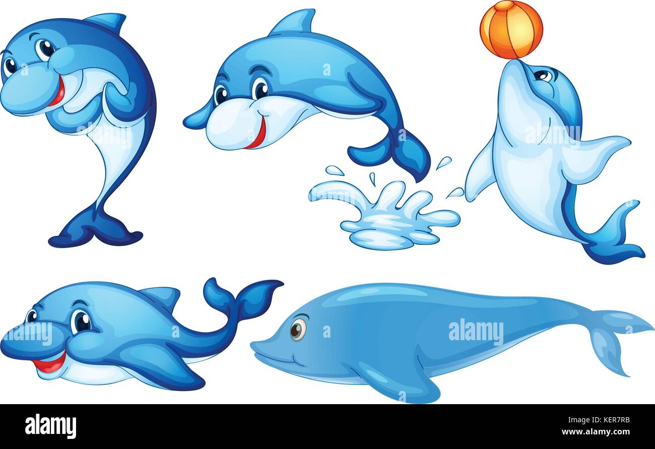 5 dolphins Stock Vector Images - Alamy