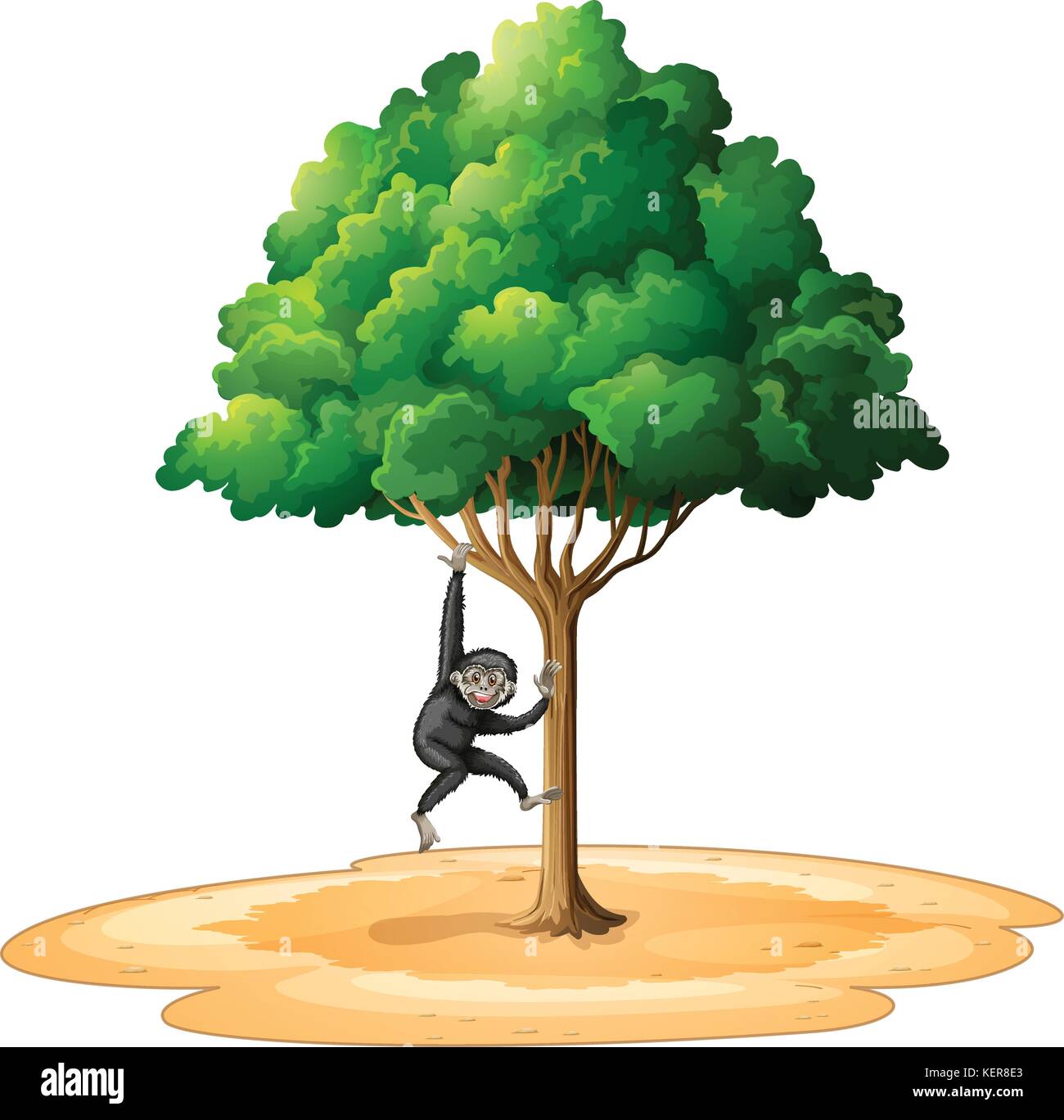 Hanging down a Stock Vector Images - Alamy