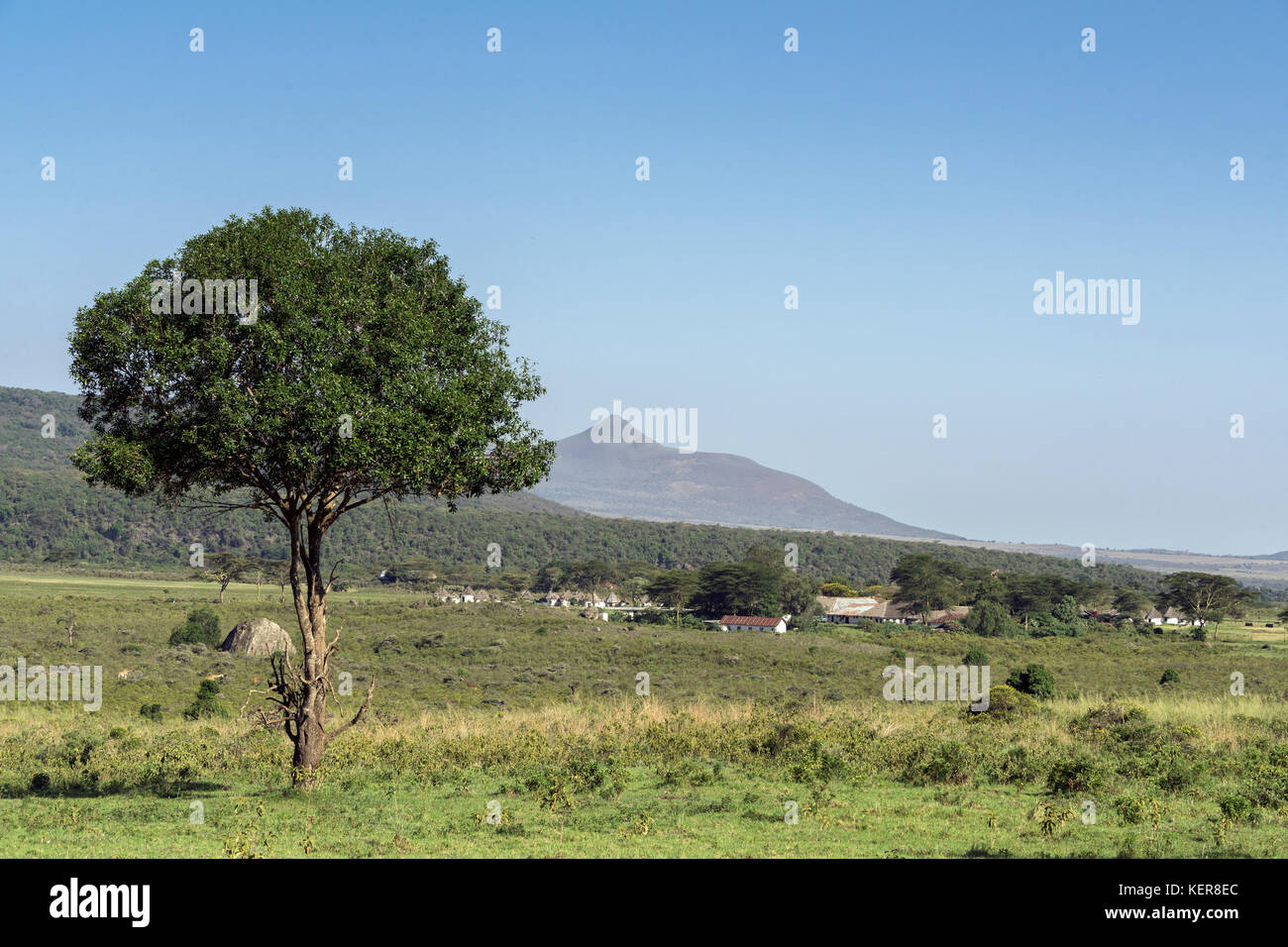 View towards Momela Gate, Arusha NP, Tanzania Stock Photo - Alamy