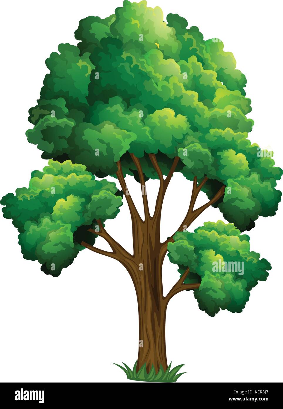 Illustration of a single tree Stock Vector Image & Art - Alamy