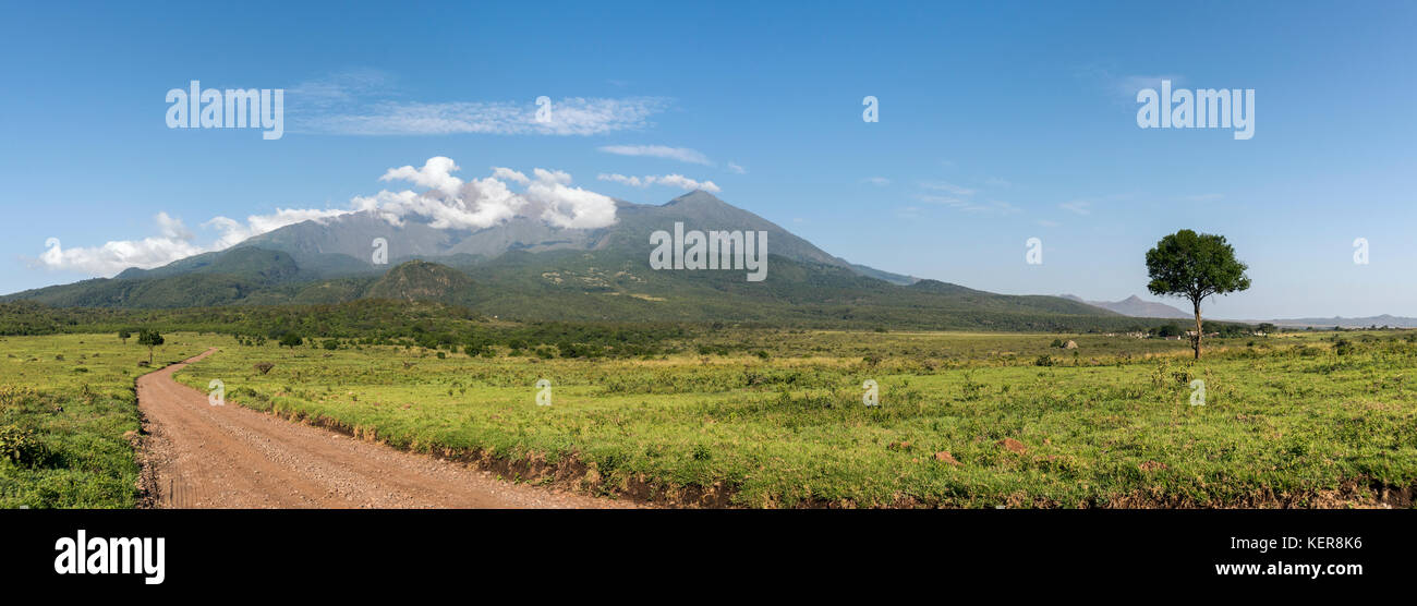 Tanzania arusha national park hi-res stock photography and images - Alamy