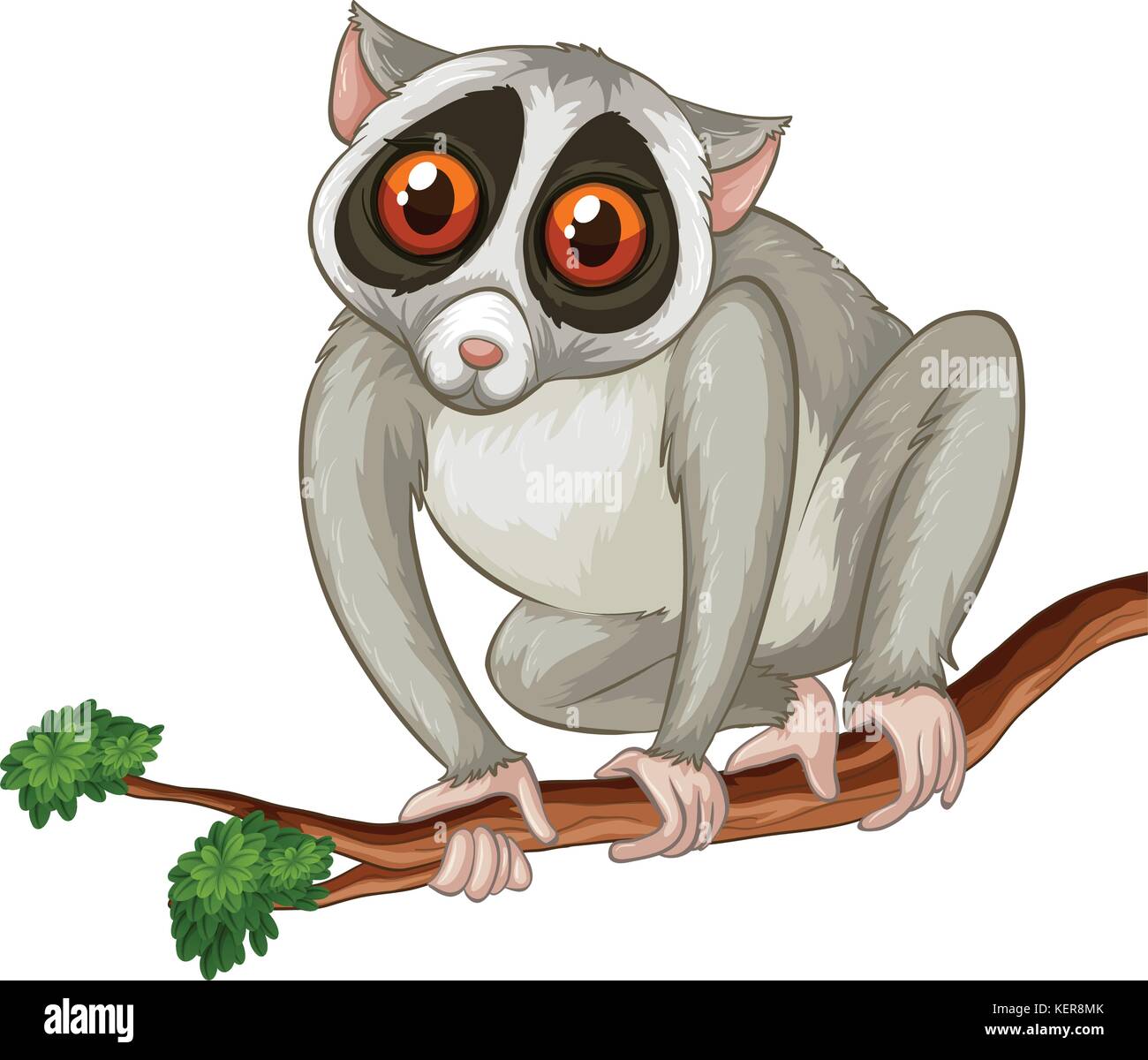 Illustration of a close up loris on a branch Stock Vector Image & Art ...