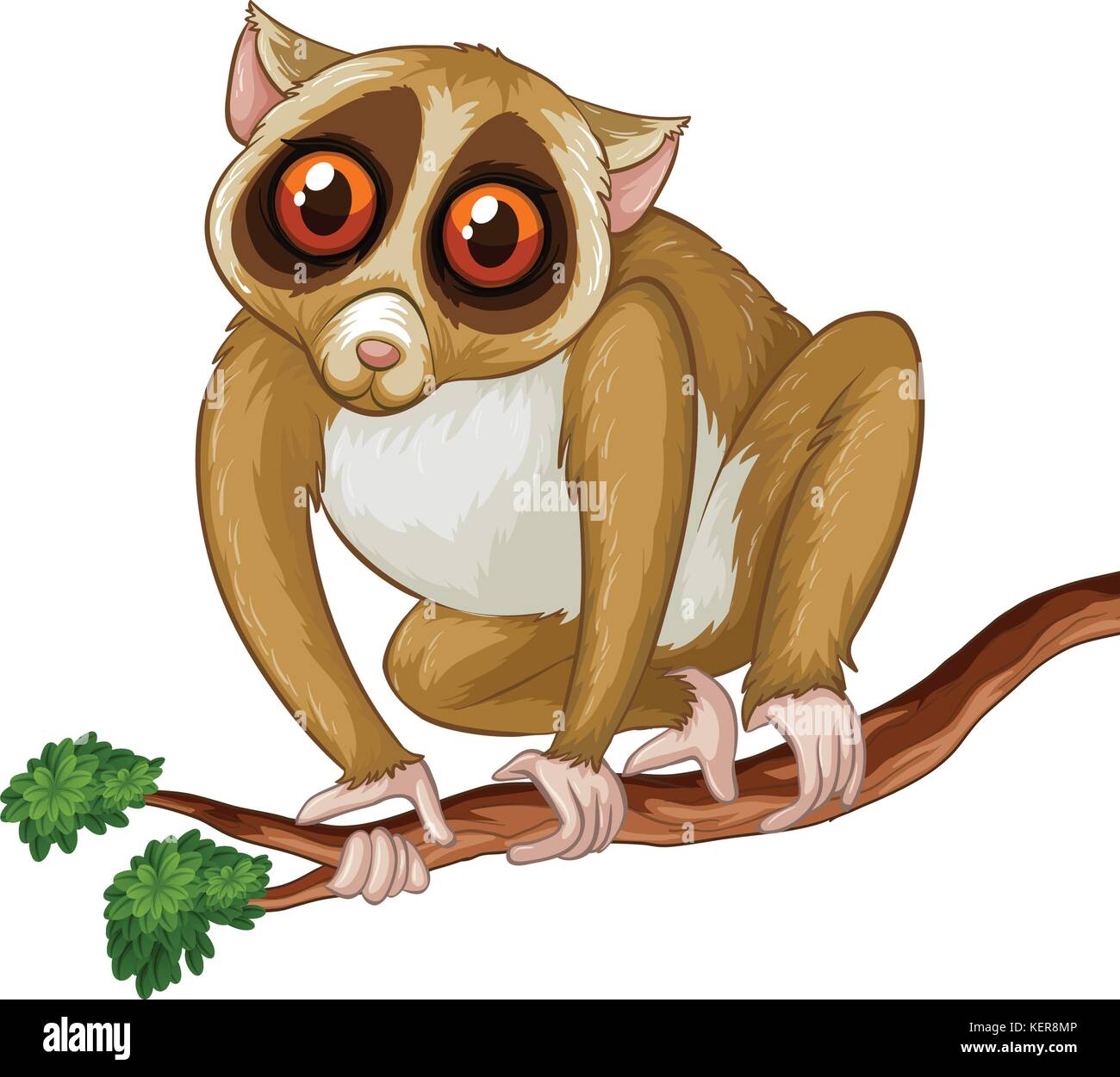 Illustration of a loris on a tree Stock Vector Image & Art - Alamy