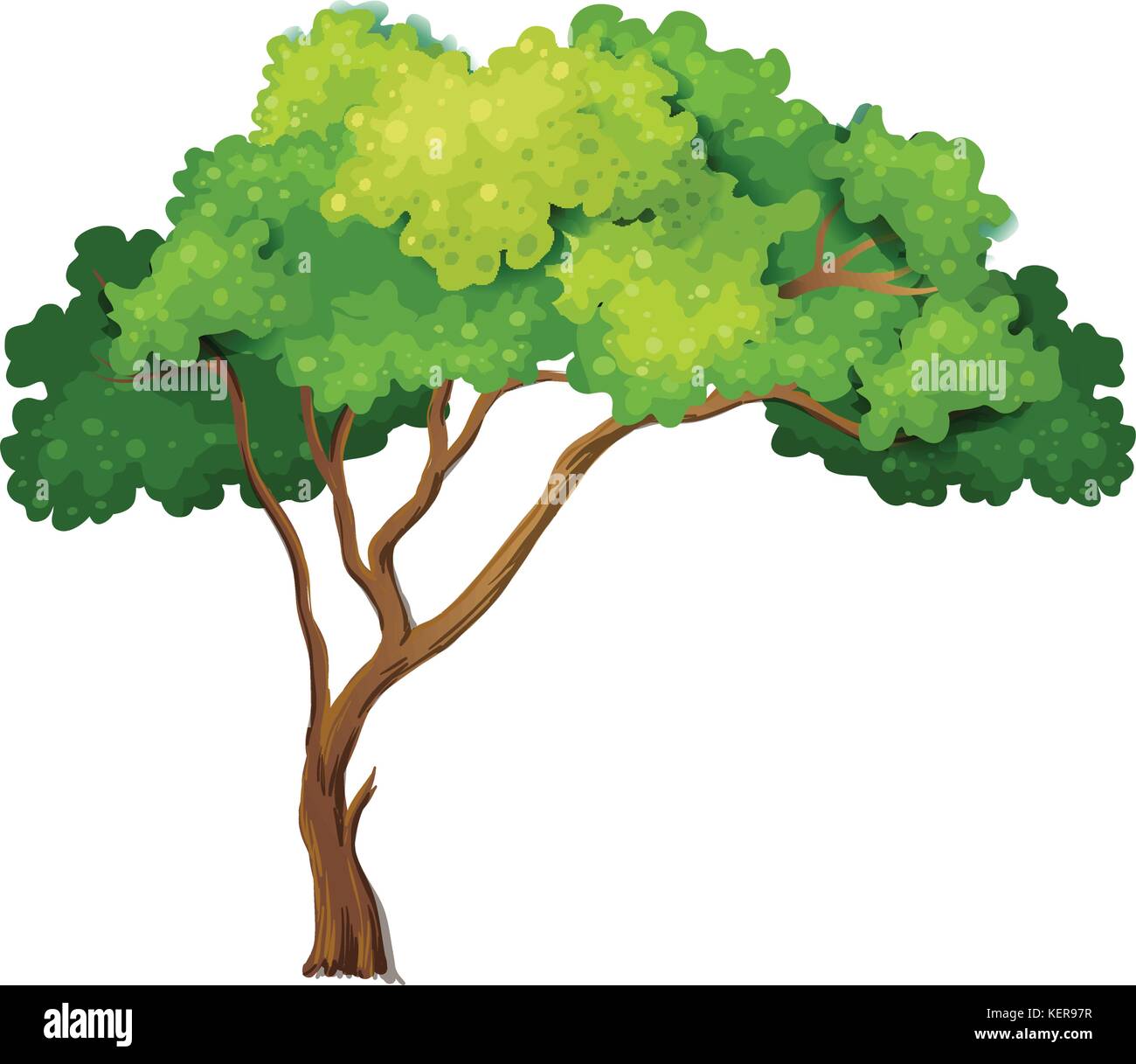 Illustration of a close up tree Stock Vector Image & Art - Alamy