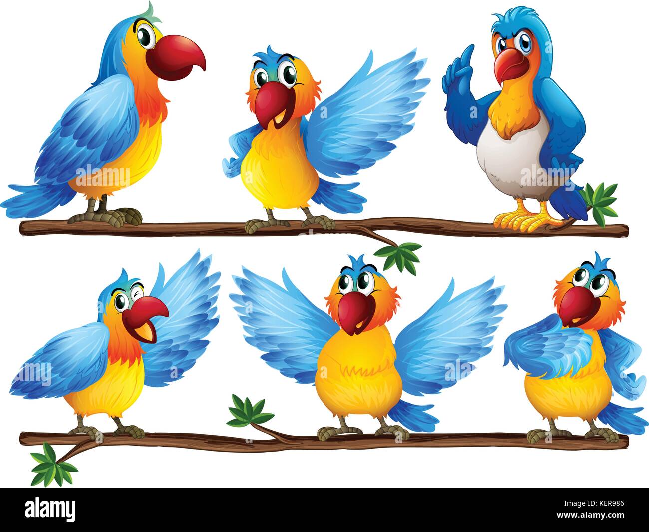 Illustration of many parrots on vine Stock Vector Image & Art - Alamy