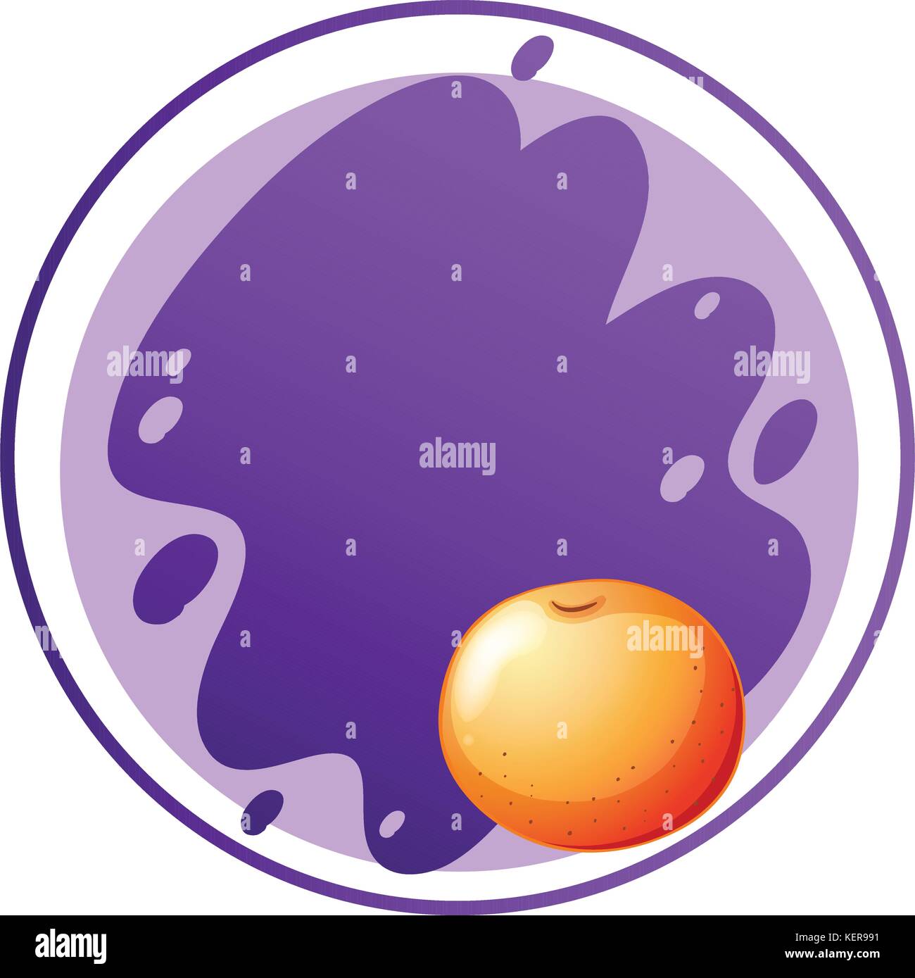 Illustration of an empty template with an orange on a white background ...