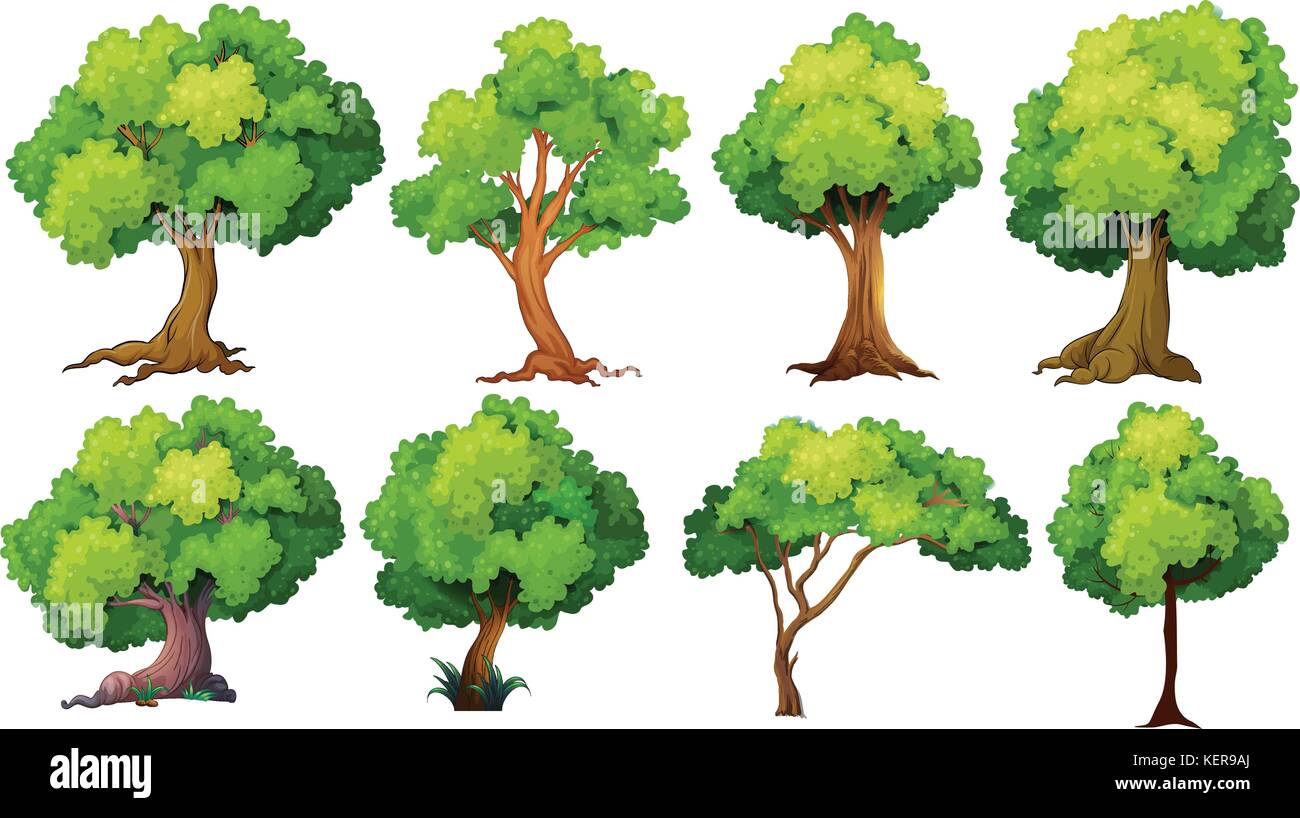 Group tree planting Stock Vector Images - Alamy