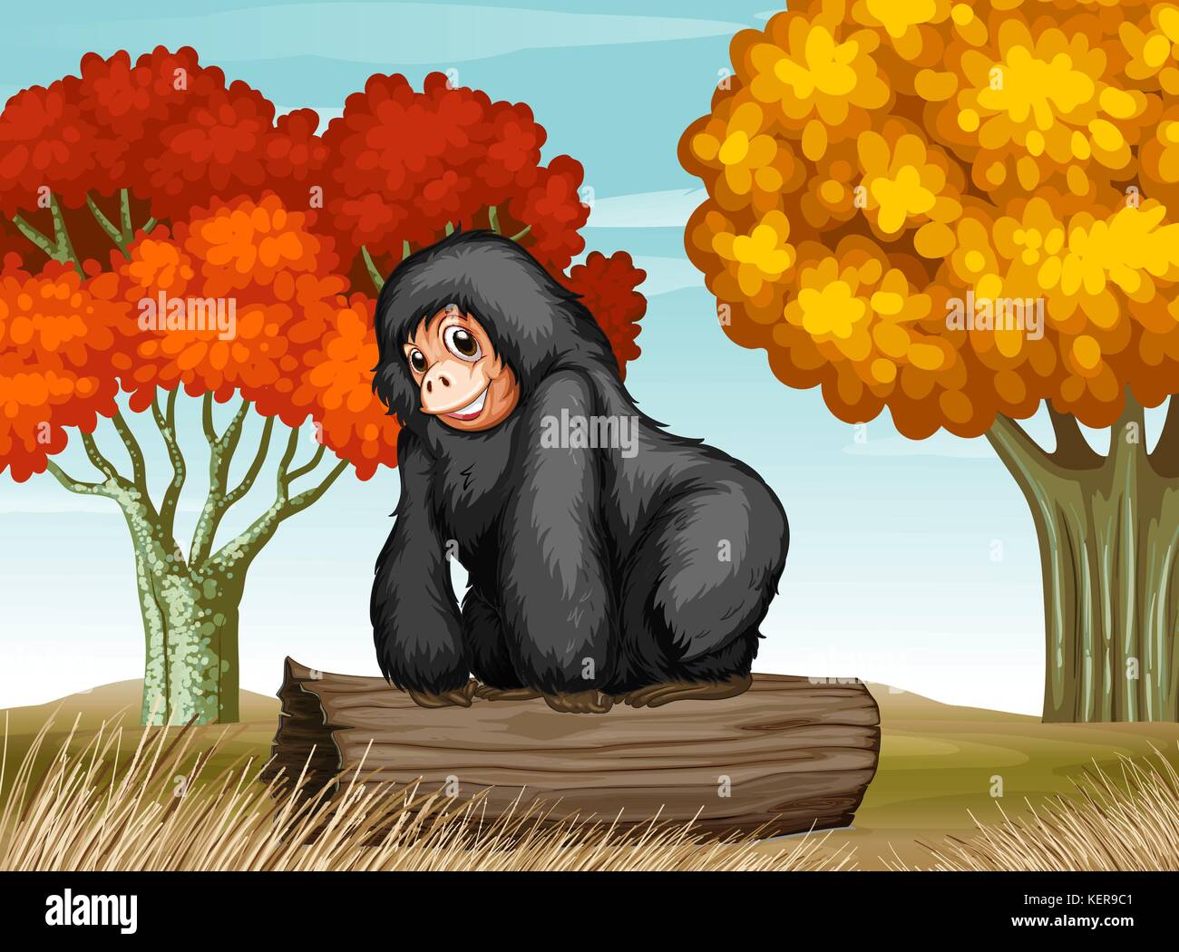 Smiling monkey forest tree hi-res stock photography and images - Alamy