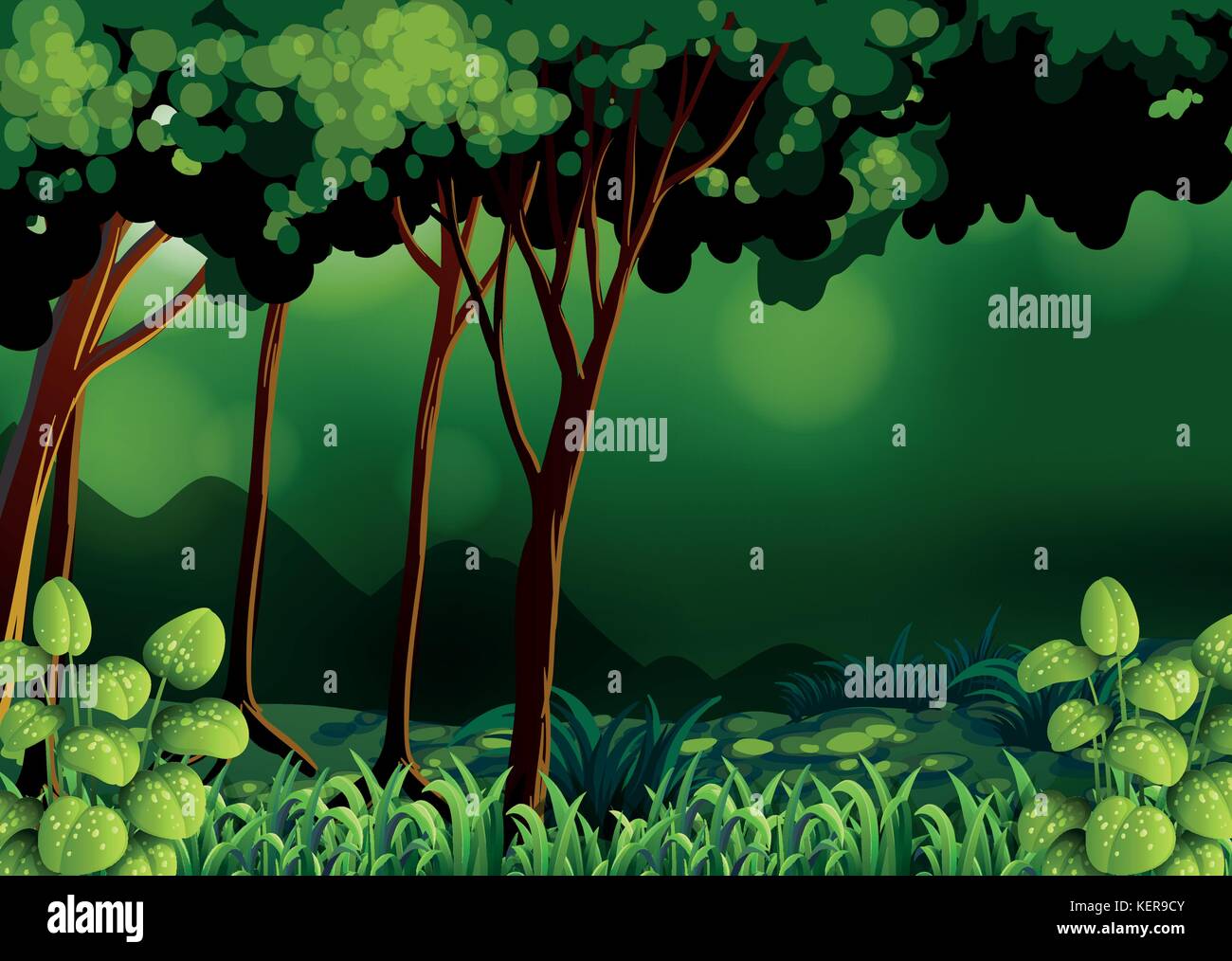 Green forest with tall trees Stock Vector Image & Art - Alamy