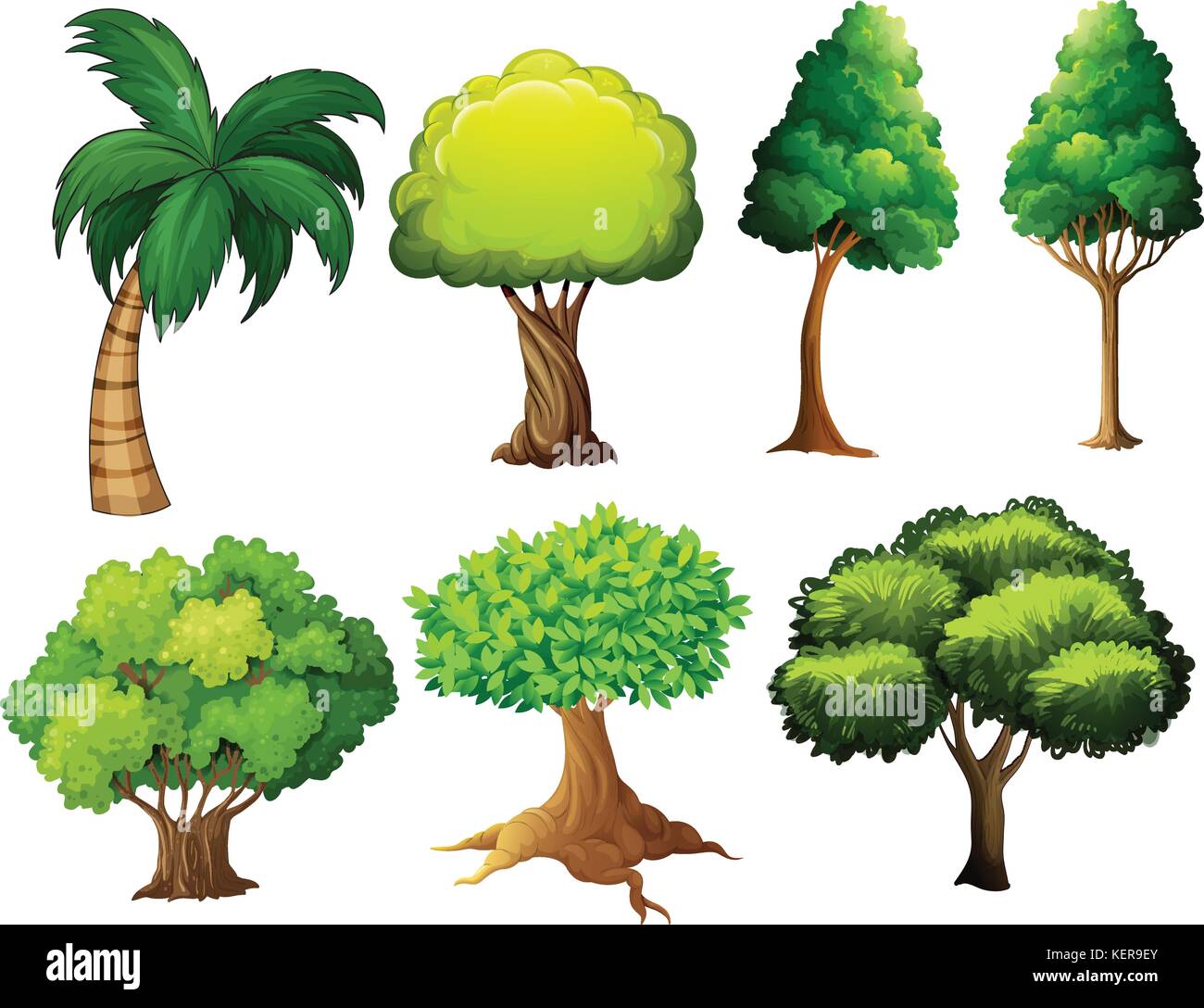 Illustration of a set of different trees Stock Vector Image & Art - Alamy