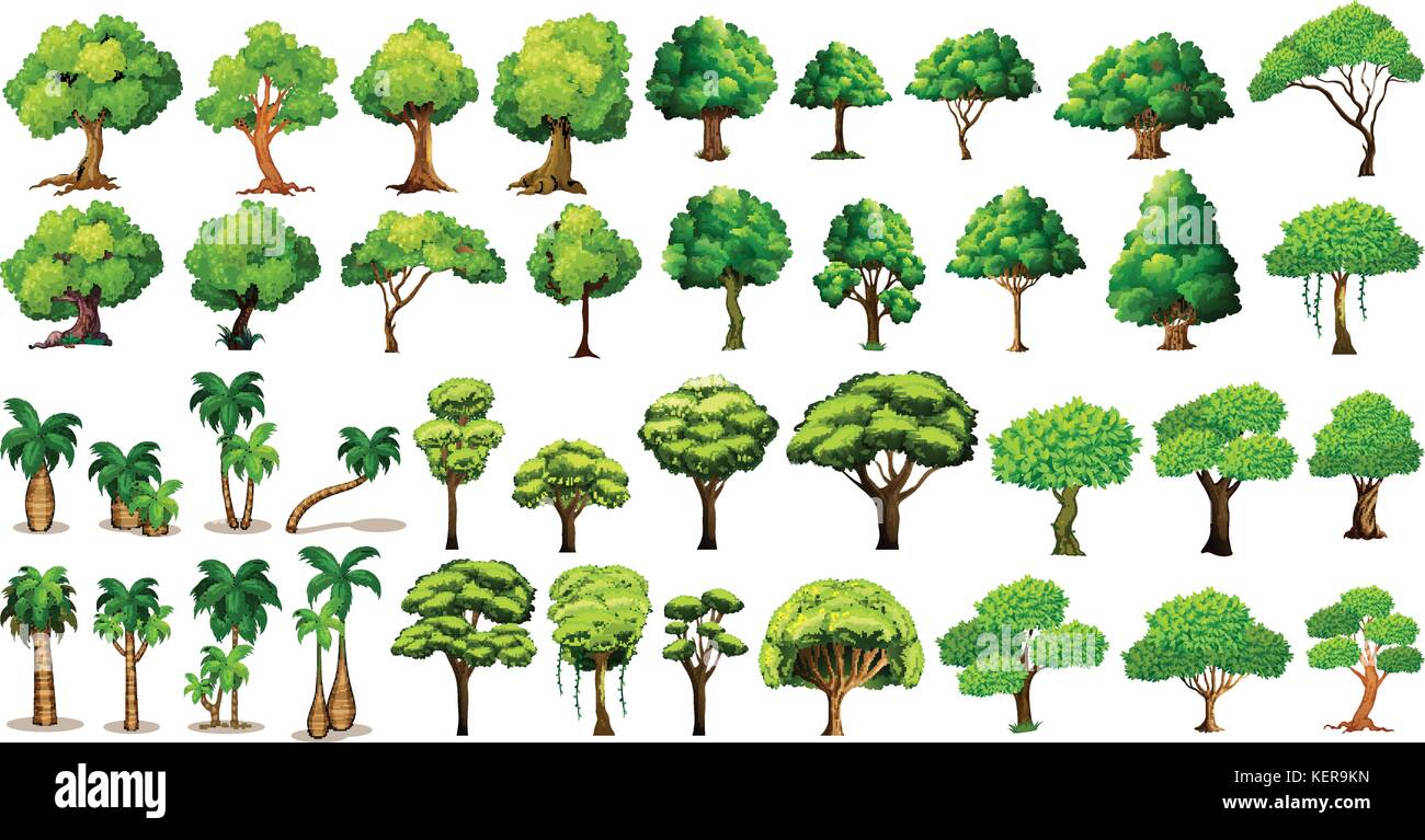 Diversity of plants Stock Vector Images - Alamy