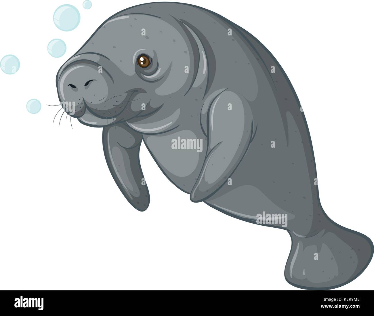 Illustration of a close up sea cow Stock Vector Image & Art - Alamy