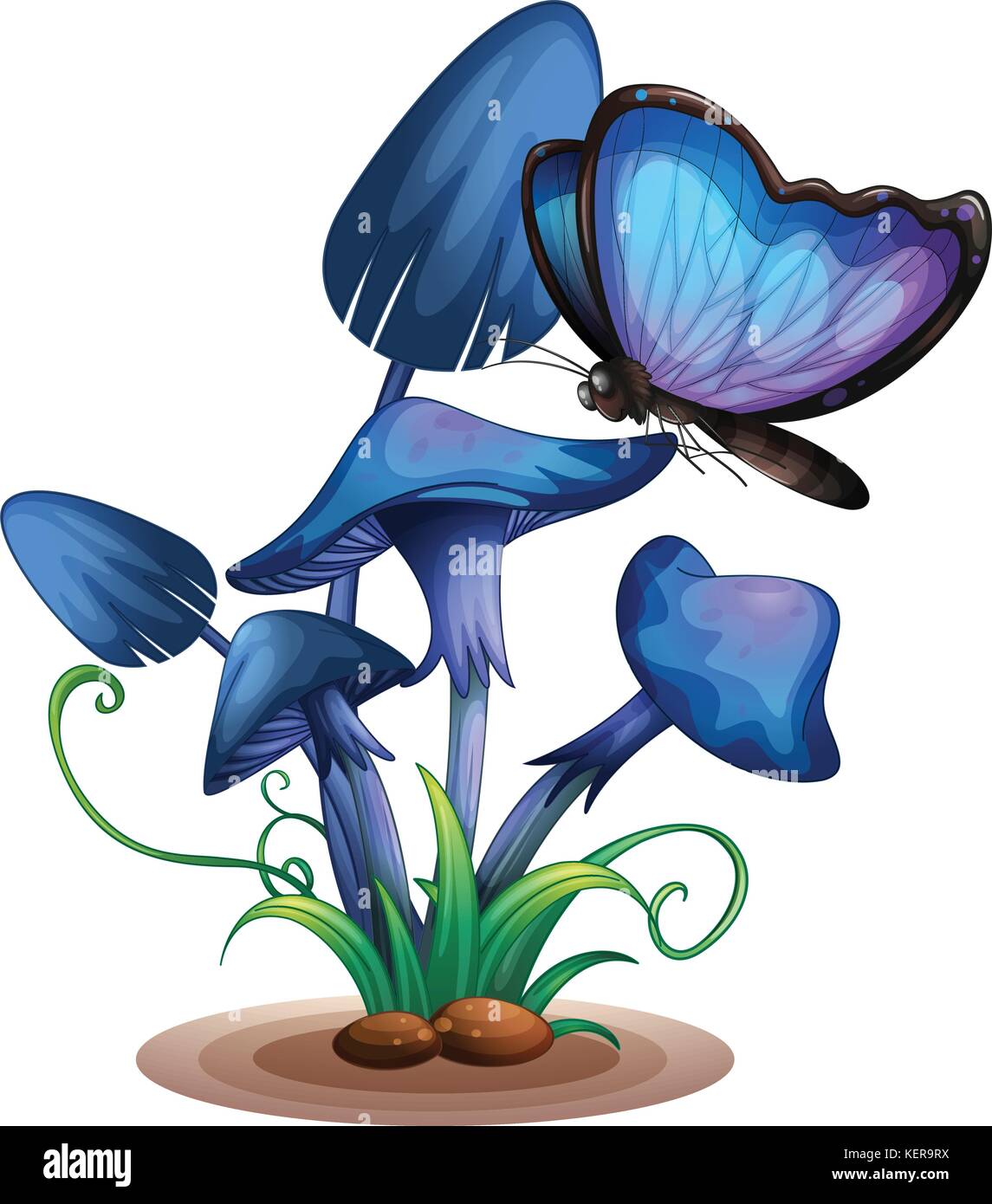 Mushroom amanita on blue Stock Vector Images - Alamy