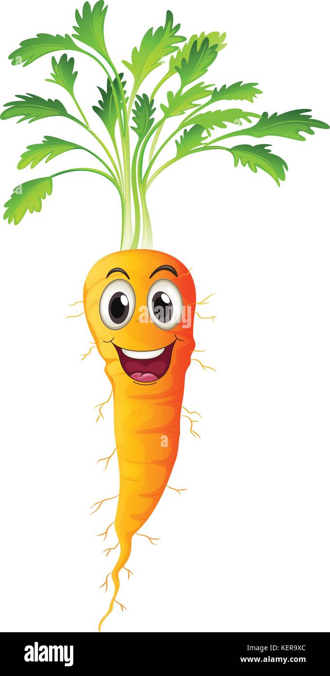 Illustration of a single carrot Stock Vector Image & Art - Alamy
