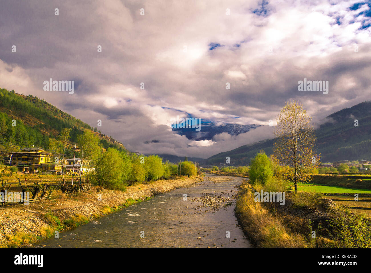 Agriculture field , Paro valley , Paro , Bhutan Stock Photo - Alamy