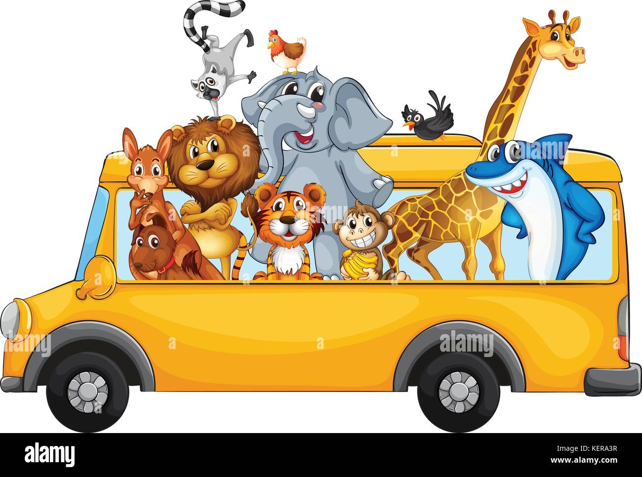 Are Animals Allowed On The Bus at Hope Whited blog