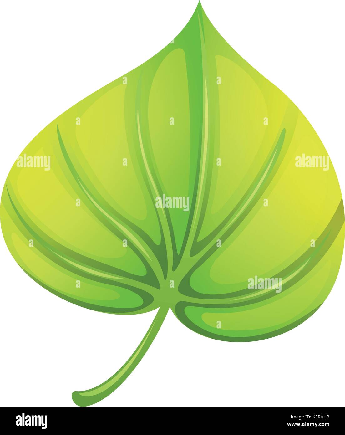 Illustration of a heart-shaped leaf on a white background Stock Vector ...