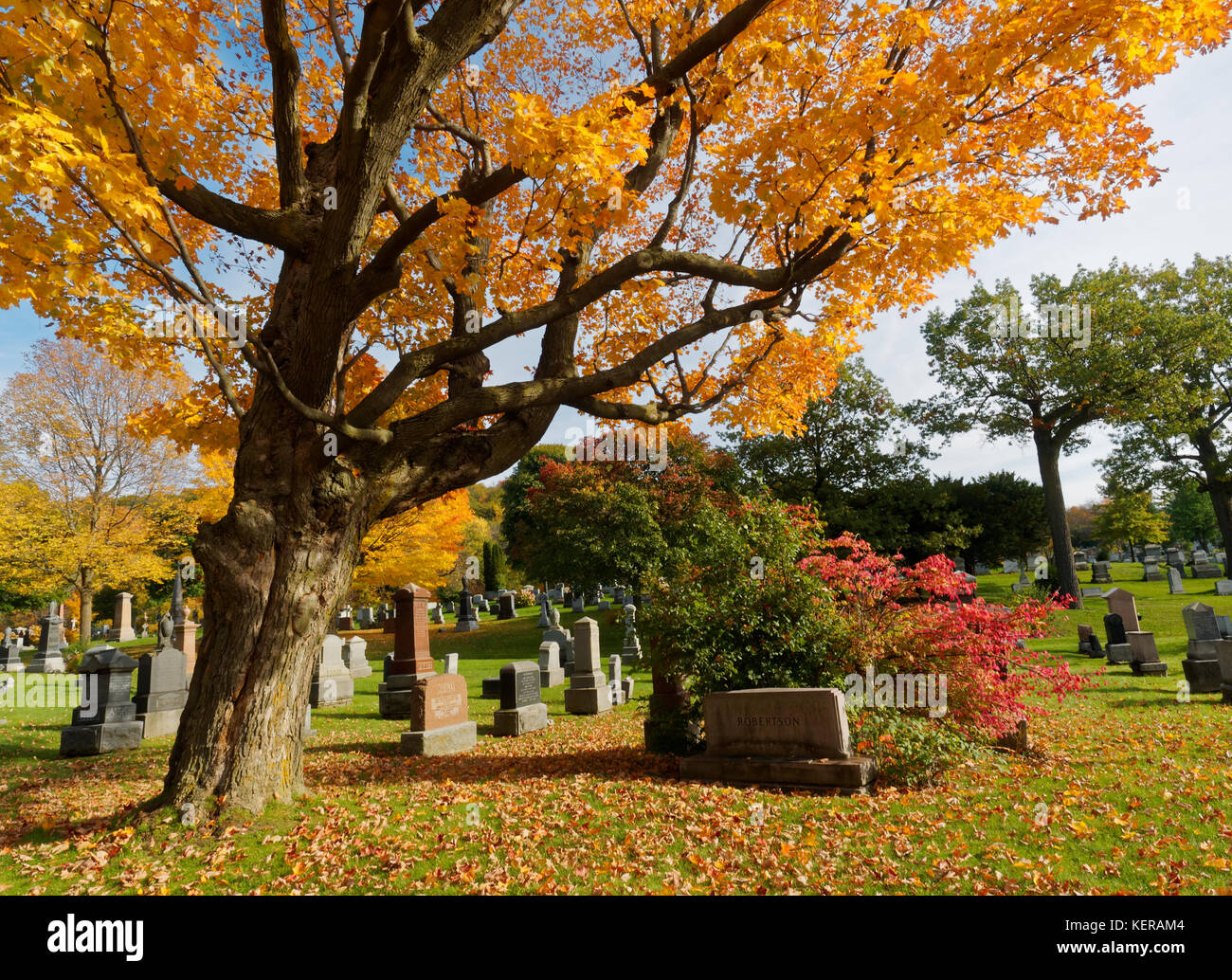 Quebec,Canada. Mount Royal cemetery in Montreal Stock Photo - Alamy