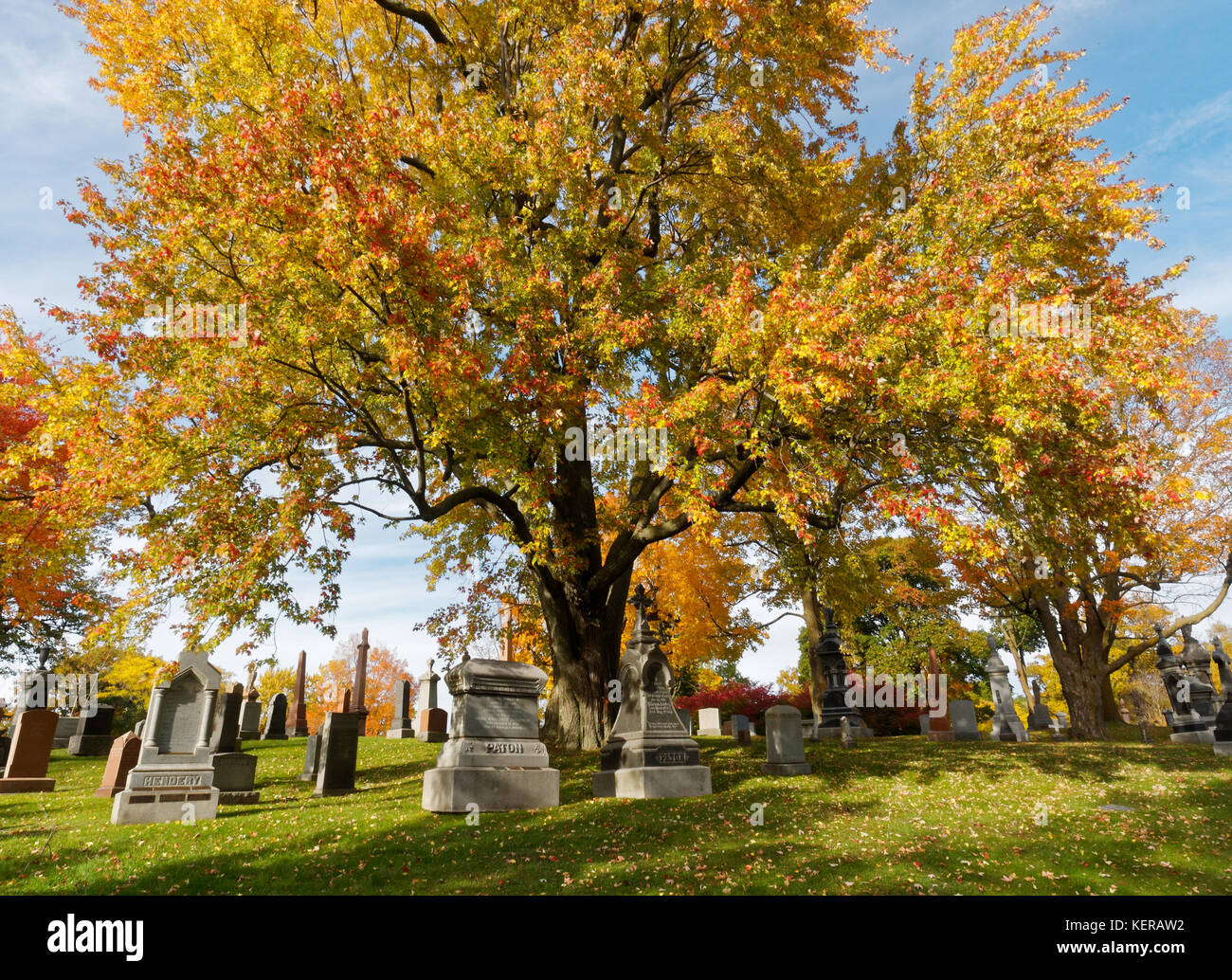 Quebec,Canada. Mount Royal cemetery in the autumn Stock Photo - Alamy