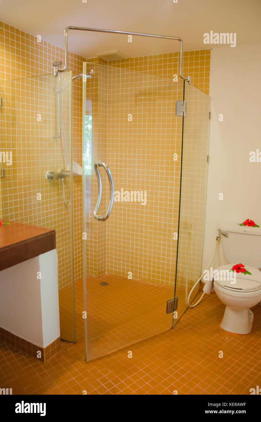 Modern interior bathroom shower Stock Photo - Alamy