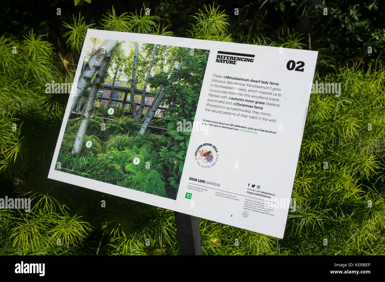 Referencing nature sign on the High Line in New York City Stock Photo ...