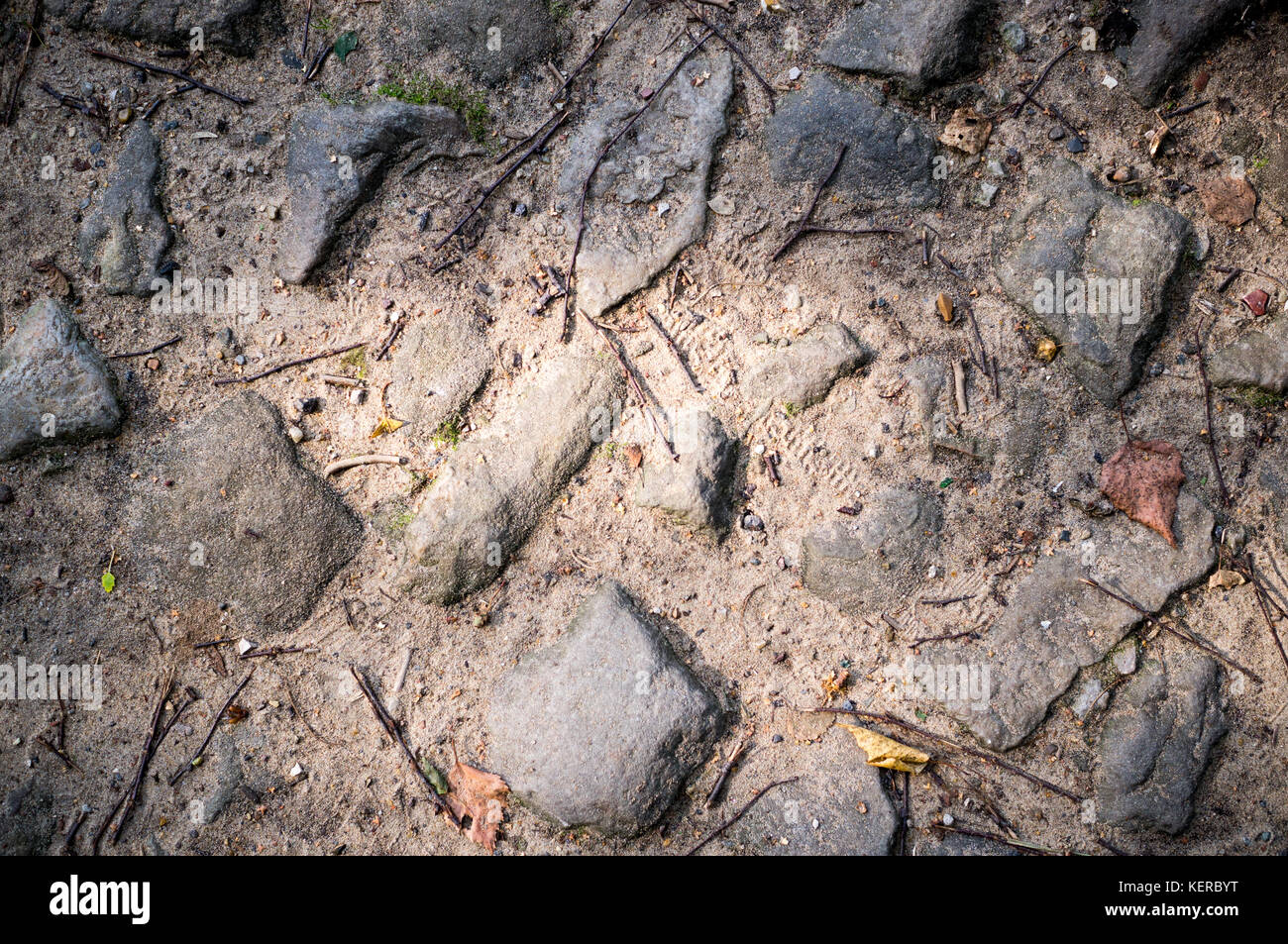 path of gray stones on the ground. texture, background Stock Photo - Alamy