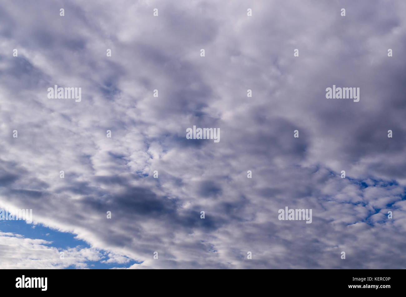 gray heavy rainy clouds at summer. background, weather Stock Photo - Alamy