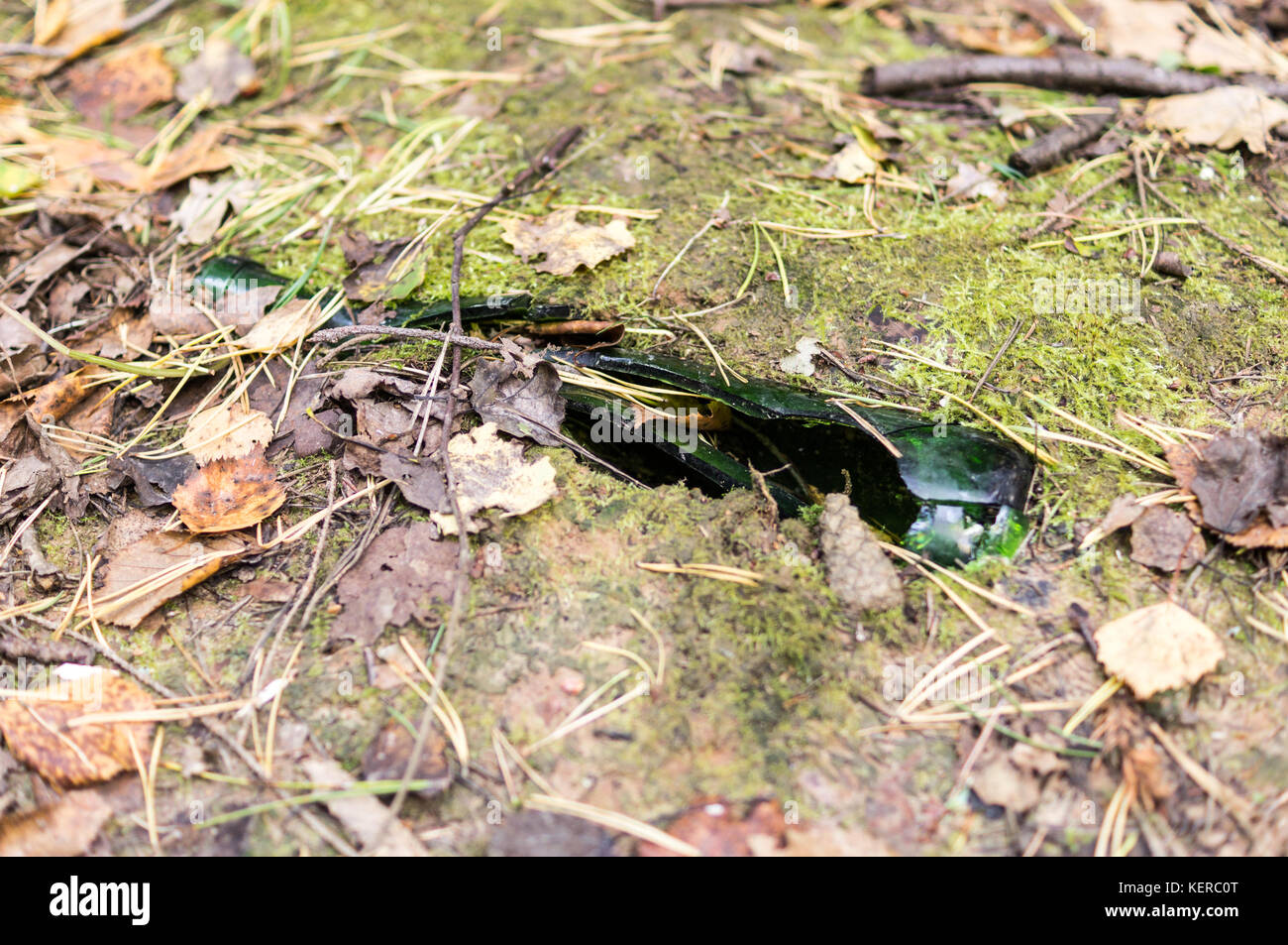Broken green bottle on the ground in the forest.object, nature ...