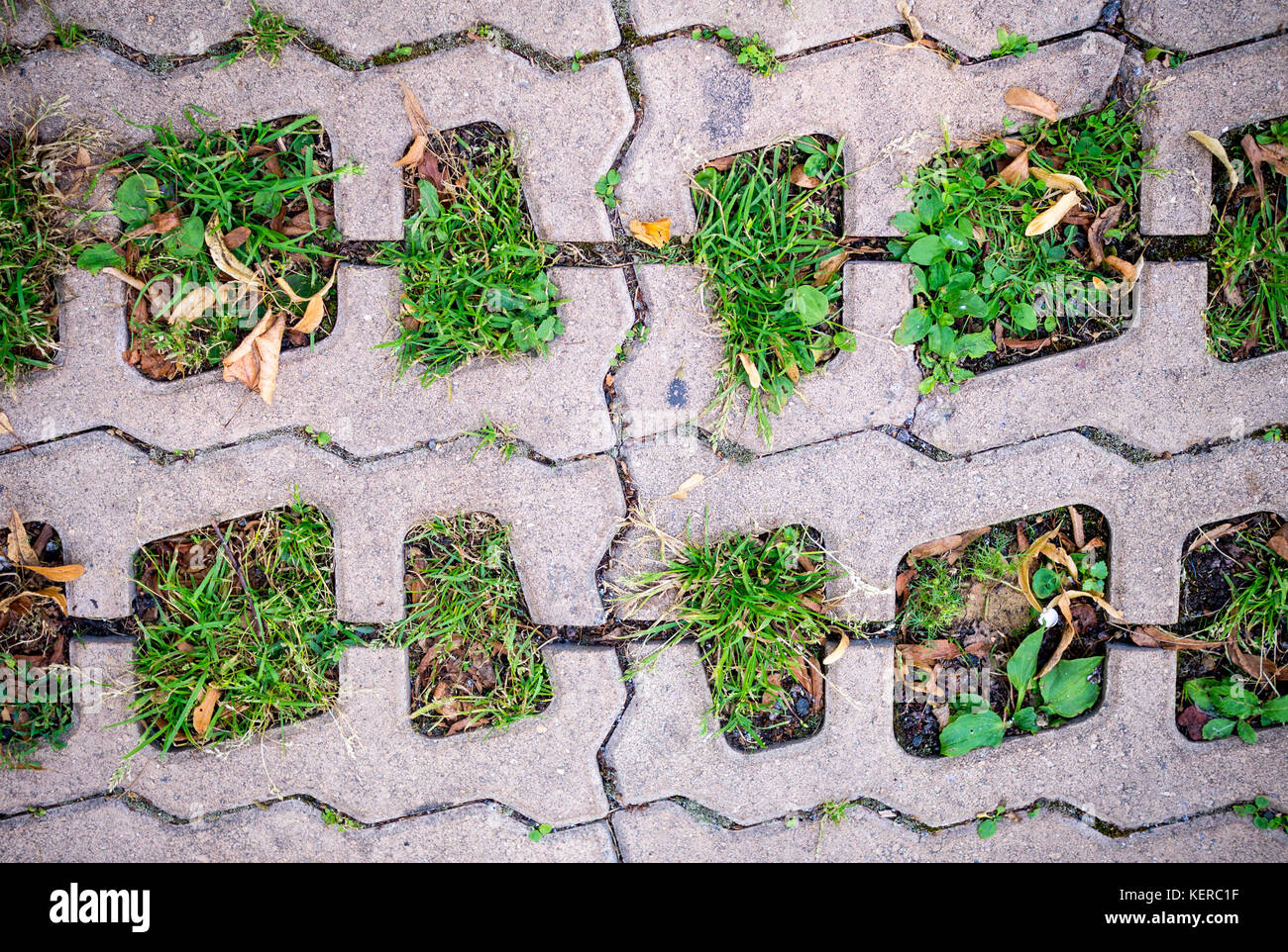 Grass paving block hi-res stock photography and images - Alamy