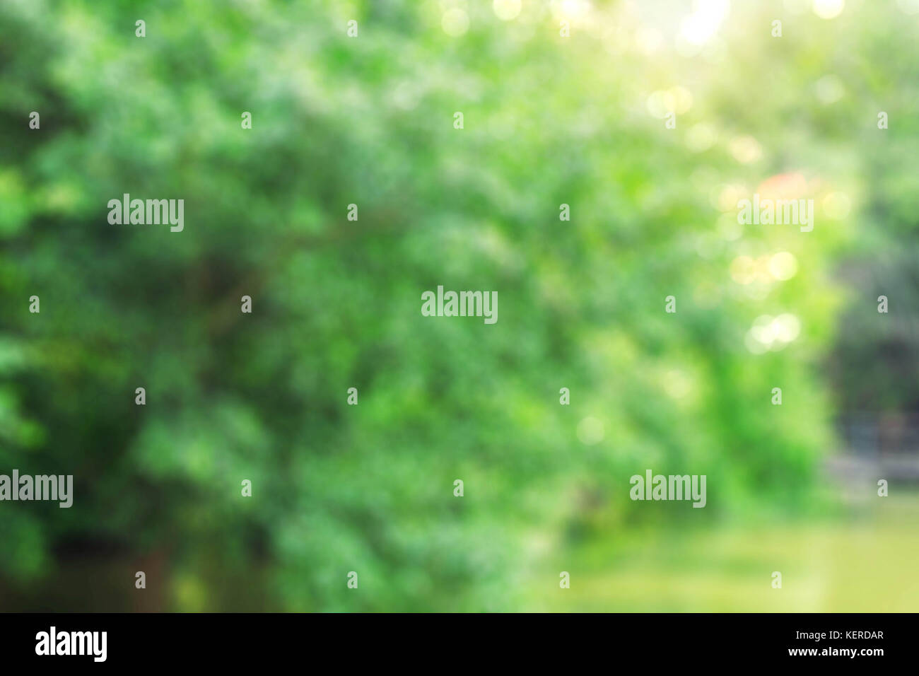 Trees in the garden with blurred images Stock Photo - Alamy