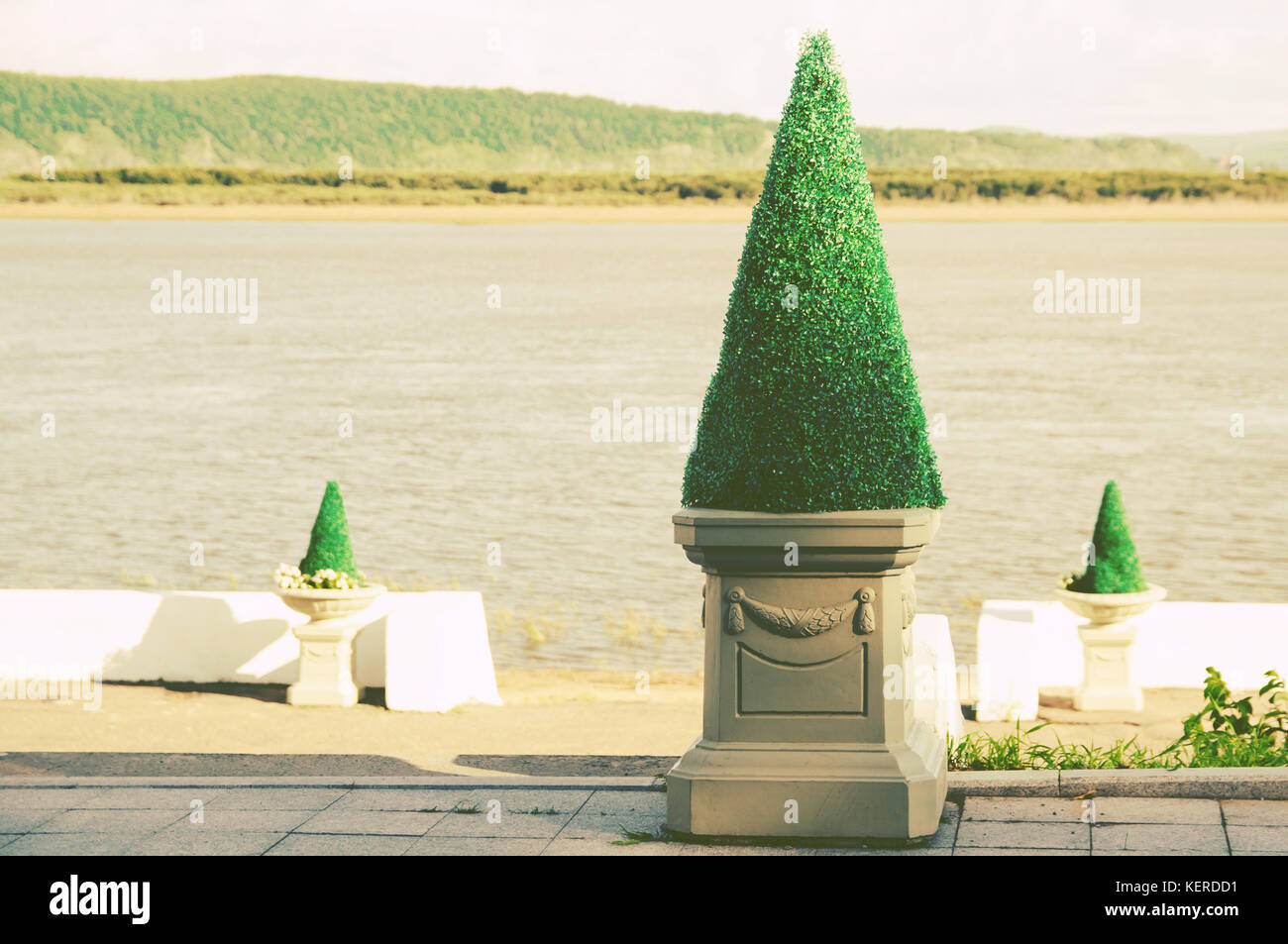 artificial conical bush on a cement foundation on the embankment near ...