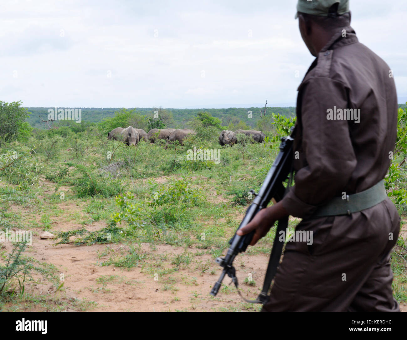African game ranger hi-res stock photography and images - Alamy