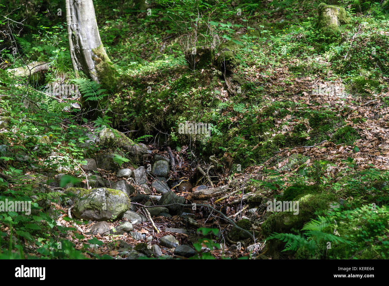 views of River Tummel Stock Photo - Alamy