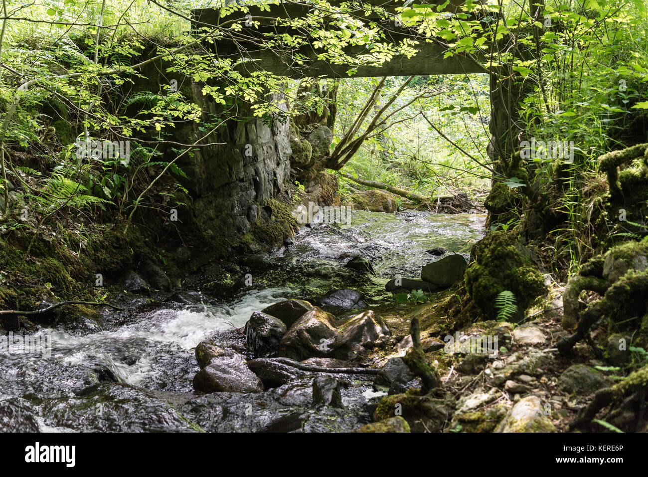 views of River Tummel Stock Photo - Alamy