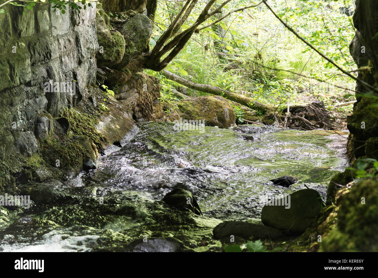 views of River Tummel Stock Photo - Alamy
