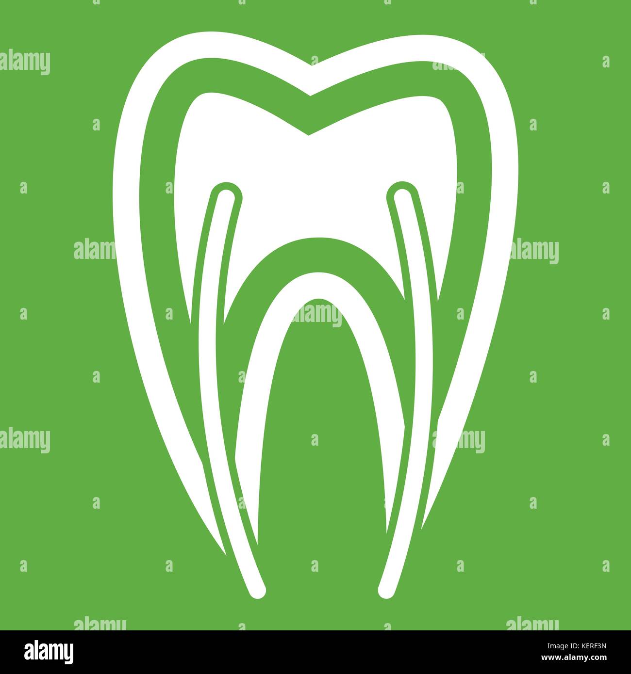 Tooth cross section icon green Stock Vector Image & Art - Alamy